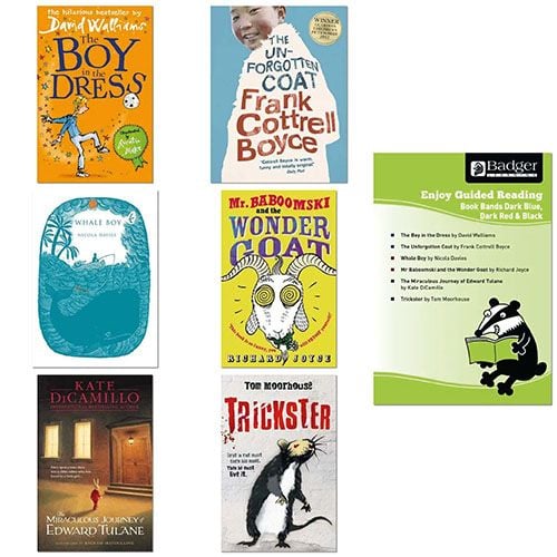 Enjoy Guided Reading KS2 Book Bands: Year 6 Dark Blue, Dark Red & Black ...