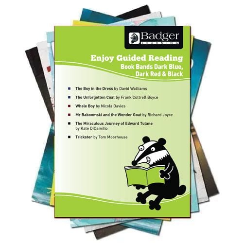 Enjoy Guided Reading KS2 Book Bands: Year 6 Dark Blue, Dark Red & Black ...