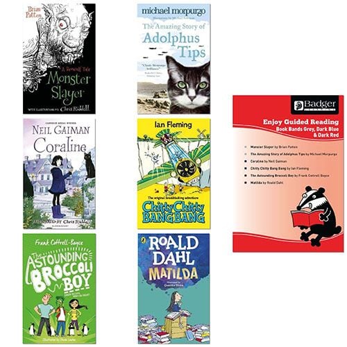 Enjoy Guided Reading KS2 Book Bands: Year 5 Grey, Dark Blue & Dark Red ...
