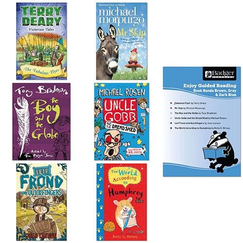 Enjoy Guided Reading KS2 Book Bands: Year 4 Brown, Grey & Dark Blue ...