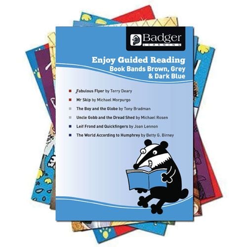 Enjoy Guided Reading KS2 Book Bands: Year 4 Brown, Grey & Dark Blue ...
