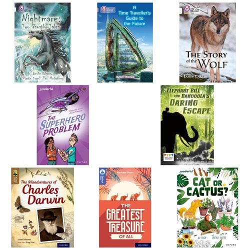 Dark Red Banded Guided Reading Scheme Box For Year 6 | Badger Learning