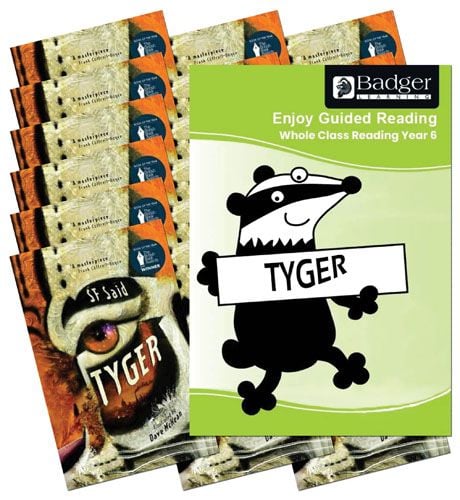 Year 6 Enjoy Whole Class Guided Reading Pack For Year 6 (6365142W ...