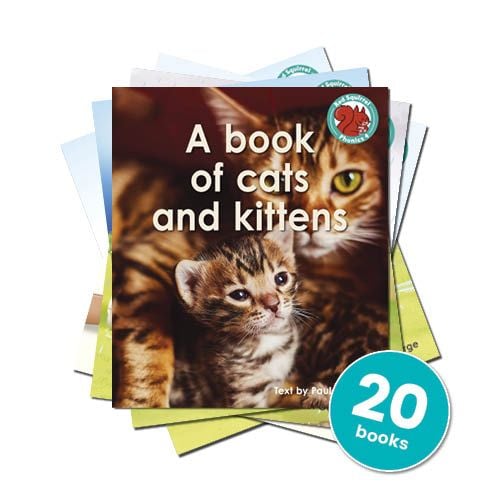 Red Squirrel Phonics Level 4 Sets 1 & 2 (N927600W) | Badger Learning