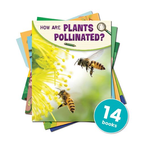 Growing Plants for KS1 For Year 1, 2 | Badger Learning