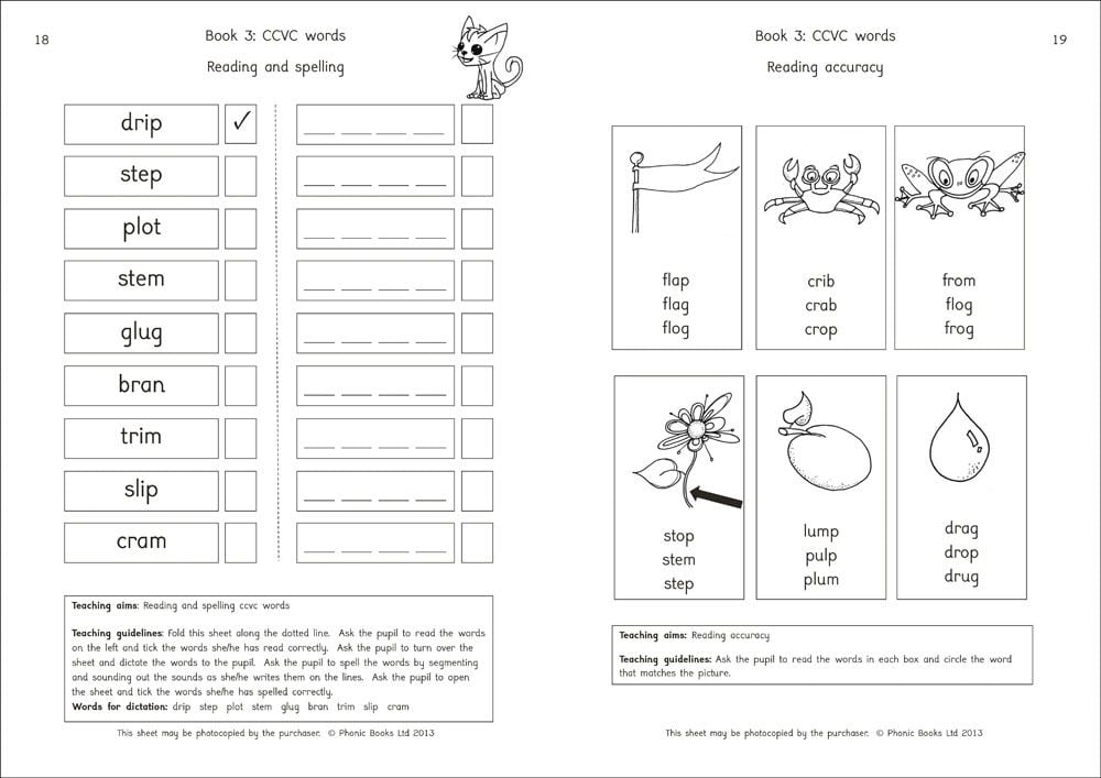 Moon Dogs Set 2 Activities For Year 4, 5, 6, 7, 8, 9 | Badger Learning