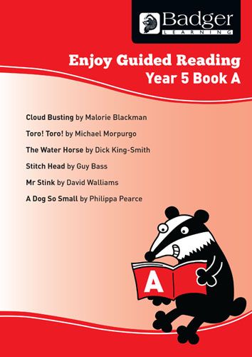 Enjoy Guided Reading Year 5 Book A Teacher Book For Year 5 (6365092W ...